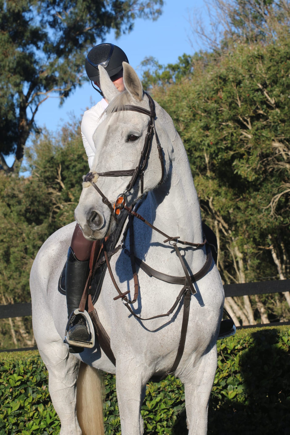 SALE BRIDLES – Lady Godiva Equestrian